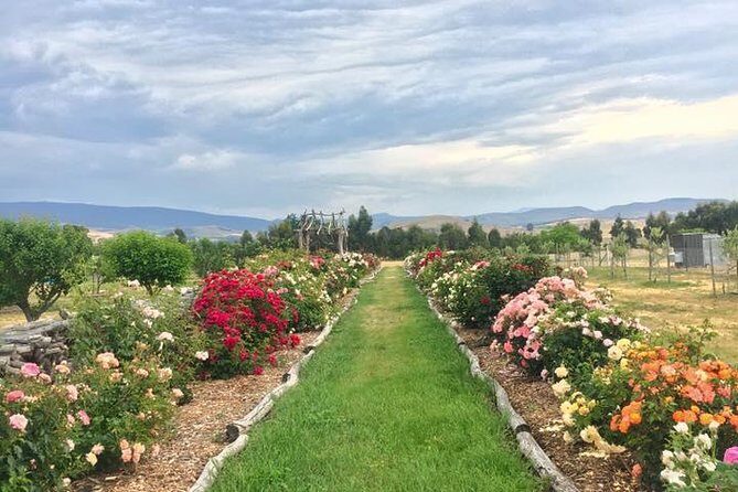 Premium Tour and Lunch Package for 2 - What to Expect from the Itinerary