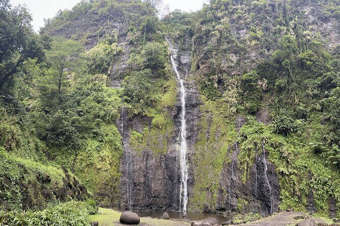 Premium Tour DE Tahiti, EN Half Day Privatised - Key Points