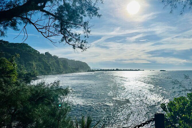 Premium Tour DE Tahiti, EN Half Day Privatised - FAQs