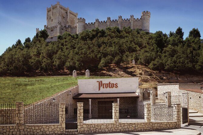 Premium Tour to Ribera del Duero with Wnologist Guide - The Itinerary: A Step-by-Step Breakdown