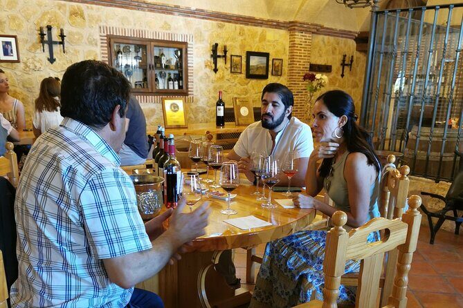 Premium Tour to Ribera del Duero with Wnologist Guide - The Sum Up: Who Is This Tour Perfect For?