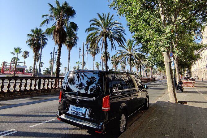 Premium Transfer from / to Airport and Port - Pricing and Value