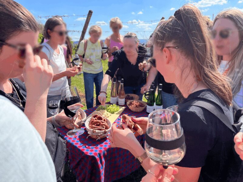 Premium wine hike Stuttgart with games and winemaker's snack - Key Points