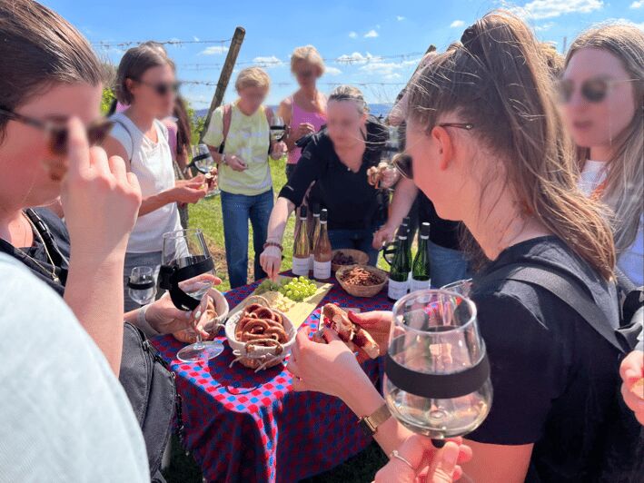Premium wine hike Stuttgart with games and winemaker's snack - Who Would Enjoy This Tour?