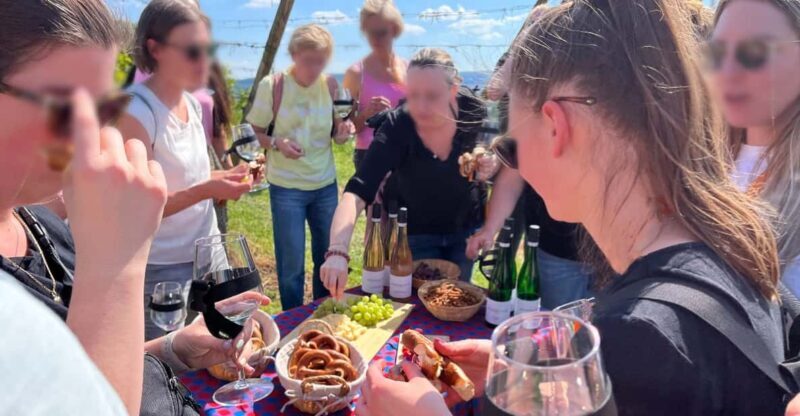 Premium wine hike Stuttgart with games and winemaker's snack - Final Thoughts: Is It Worth It?