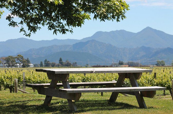 Premium Wine Tasting Tour. - Final Thoughts