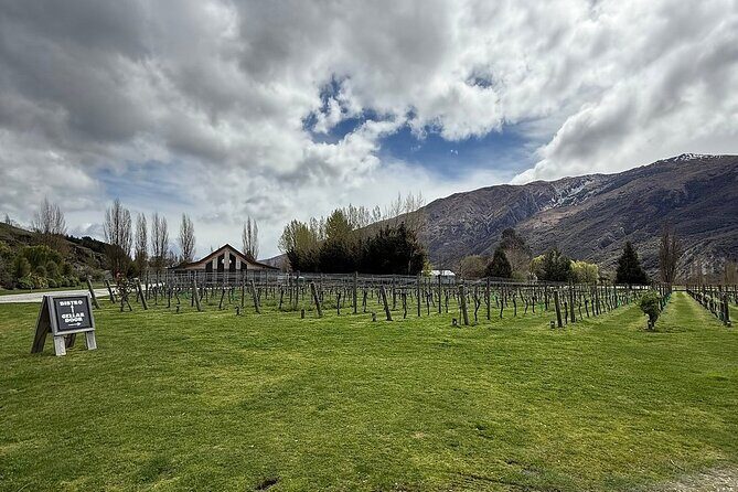 Premium Wine Tour Queenstown Tasting at 4 Wineries - Insights from Reviews