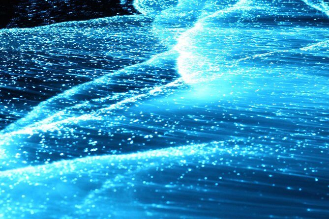 Preserving Baby Sea Turtles And Filling You With Energy In Bioluminescent Lights - Who Should Consider This Tour?