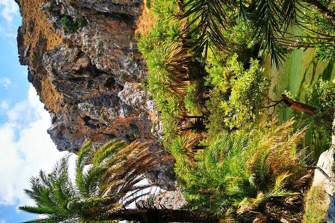 Preveli Beach & Palm Forest :Full-Day Tour with Lunch Box - The Itinerary in Detail