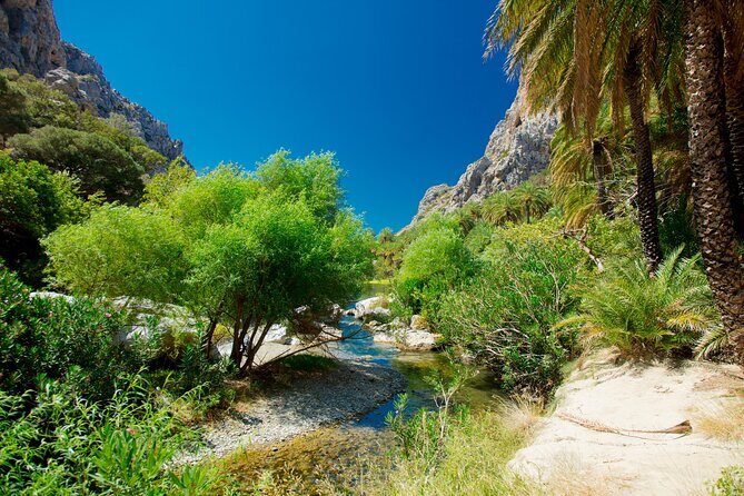 Preveli Beach & Palm Forest :Full-Day Tour with Lunch Box - Frequently Asked Questions