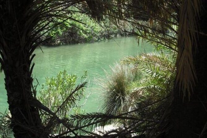 Preveli palm Beach & Damnoni Excursion - Reviewing the Experience: Authentic Perspectives