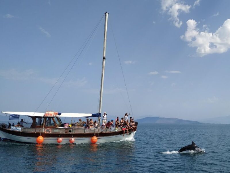 Preveza: Dolphin Watching Cruise with Lunch and Drinks - Final Thoughts