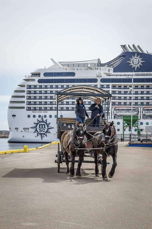 Prince Edward Island: Horse-Drawn Carriage Tour - An Authentic Look at the Charlottetown Horse-Drawn Carriage Tour