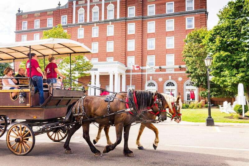 Prince Edward Island: Horse-Drawn Carriage Tour - Authentic Insights from Reviews