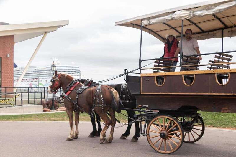 Prince Edward Island: Horse-Drawn Carriage Tour - Practical Details and Tips