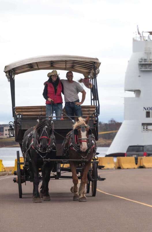 Prince Edward Island: Horse-Drawn Carriage Tour - Who Should Consider This Tour?