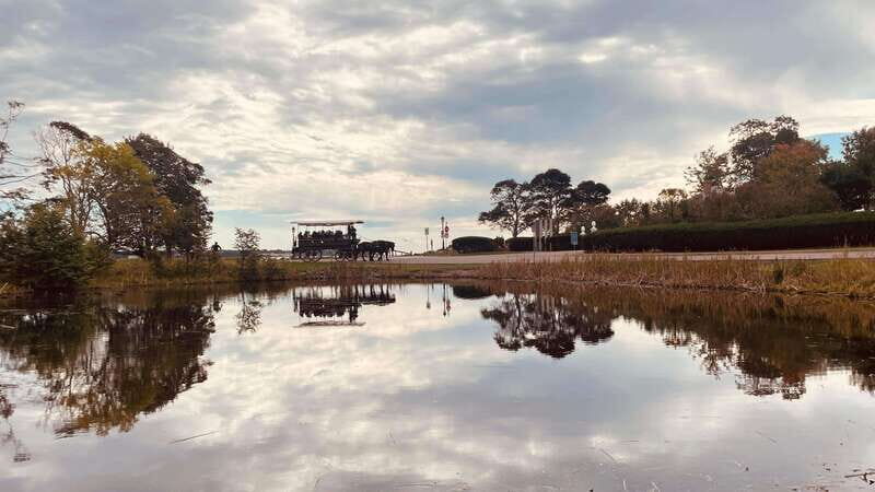 Prince Edward Island: Horse-Drawn Carriage Tour - Final Thoughts