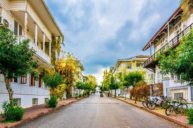 Princes' Islands Tour from Istanbul Lunch Included - Who Is This Tour Best For?