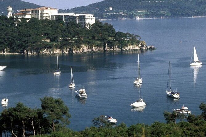 Princes Islands Tour WITH Private Boat, optional Pickup & Lunch - The Sum Up