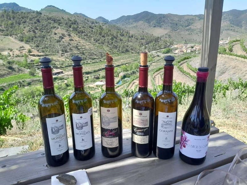 Priorat tour to 3 small wineries and hotel pick-up - Key Points