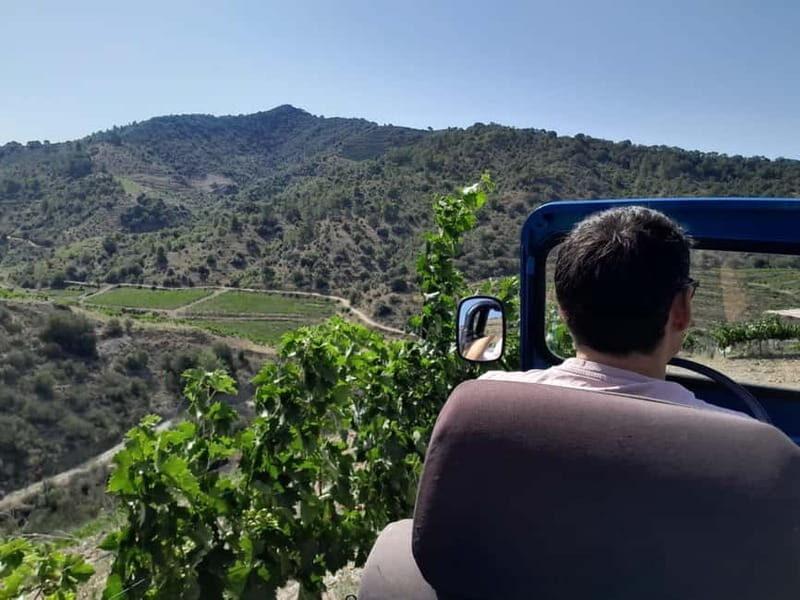 Priorat tour to 3 small wineries and hotel pick-up - Who Will Love This Tour?