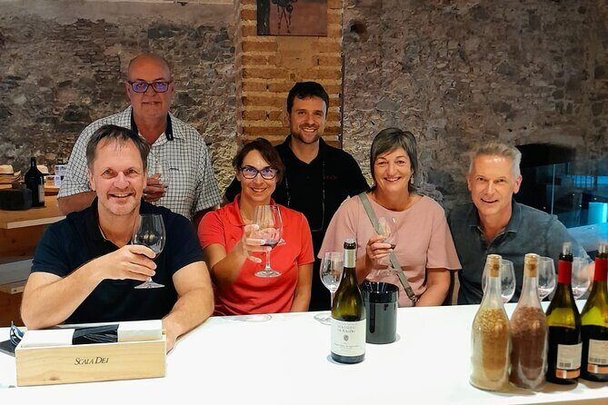 Priorat tour to 3 small wineries and hotel pick-up - Key Points