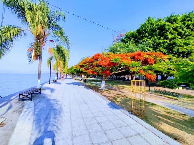 Privado: Rancho Vicente Fdez, Ajijic, Chapala y Tlaquepaque - An In-Depth Look at the Tour Experience