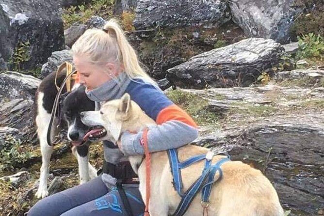 Privat sled trip with husky in the alta valley - The Sum Up