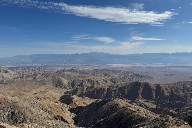 Private 1 Day Tour to Joshua Tree National Park - Key Points