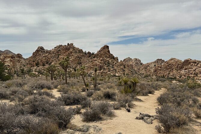Private 1 Day Tour to Joshua Tree National Park - Wrapping Up with Local Flavors and Reflection