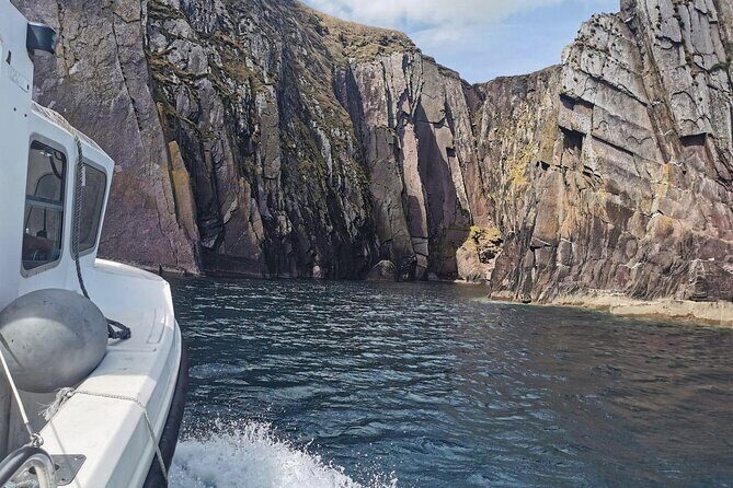Private 1-Hour Guided Boat Tour in Dingle Peninsula - FAQ