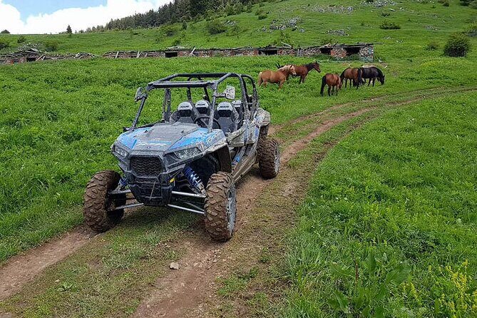 Private 1-Hour Quad or Buggy Safari in Borovets - Practical Details and Tips  
