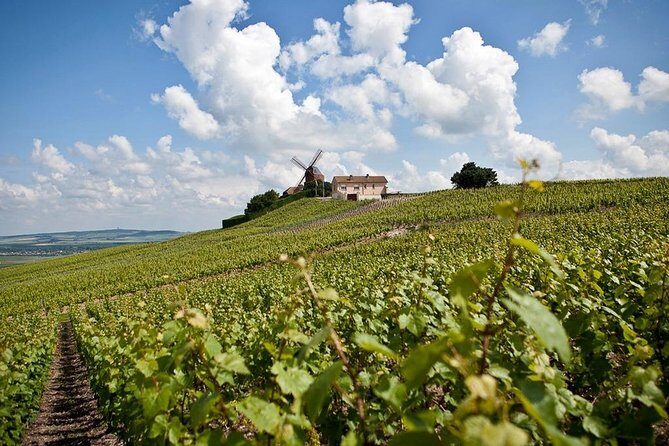 Private 10-hour round transfer to Champagne Epernay from Paris. Best offer! - Detailed Breakdown of the Tour Experience