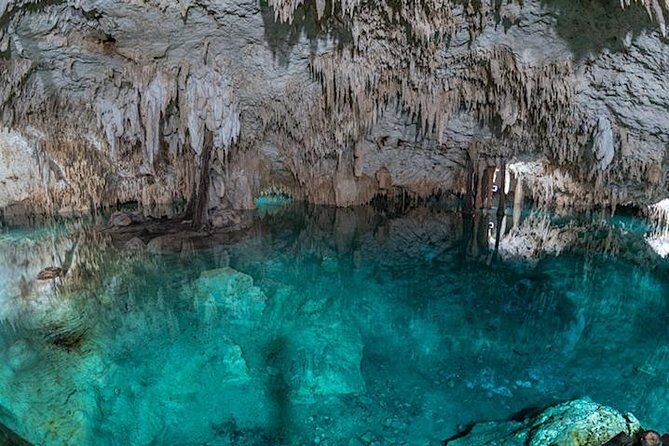 Private 2-Cenote Snorkeling Tour with Authentic Mayan Lunch - An In-Depth Look at the Private Cenote Snorkeling Tour