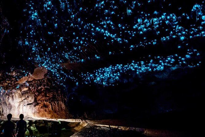 Private 2 Days Tour from Auckland - Waitomo, Hobbiton and Rotorua - FAQ