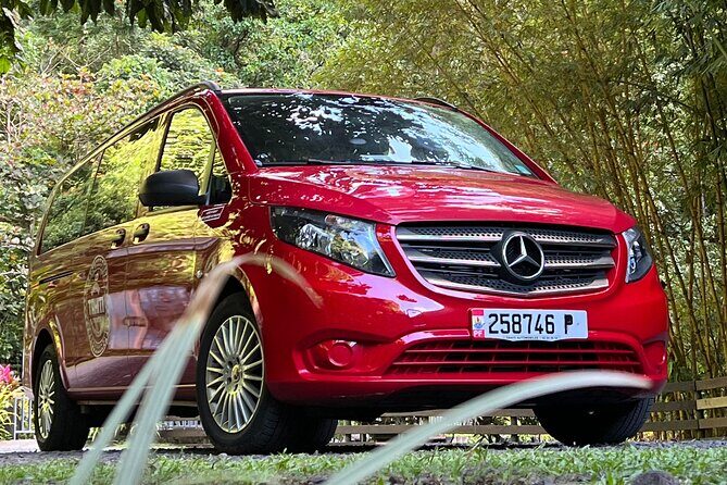 Private 2 Hour Walking Tour in Papeete - Why It’s Worth It