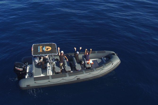 Private 2 hour Whale Watching Tour - Key Points