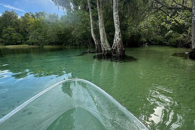 Private 2Hour Clear Kayak/ROC Paddle Board Rental on Silver River - Discovering the Silver River with Your Private Rental