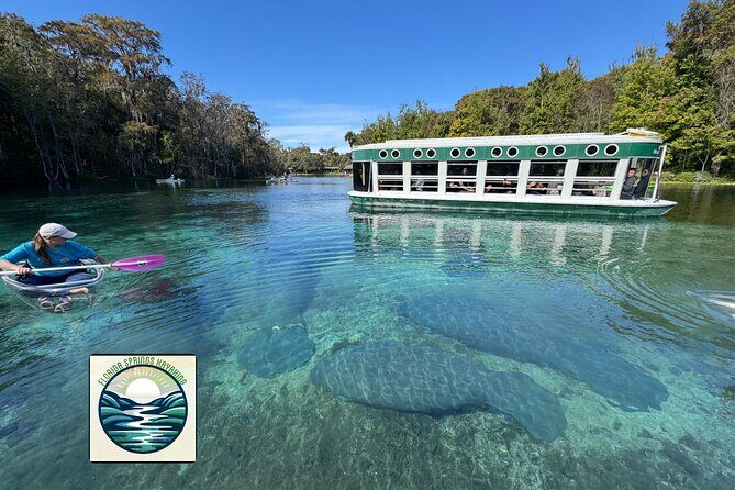 Private 2Hour Clear Kayak/ROC Paddle Board Rental on Silver River - The Experience: What to Expect on the Water