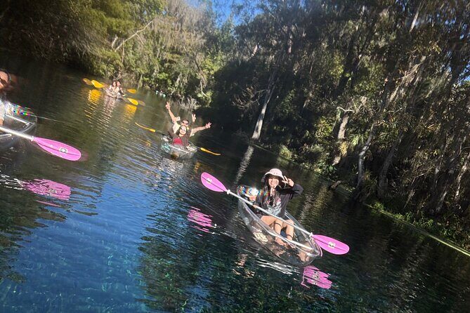 Private 2Hour Clear Kayak/ROC Paddle Board Rental on Silver River - Practical Details and Value for Money