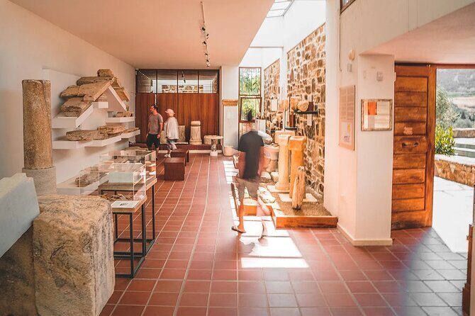 Private 3.5 Hours Mini Island Tour in Naxos - What Makes This Tour Stand Out?