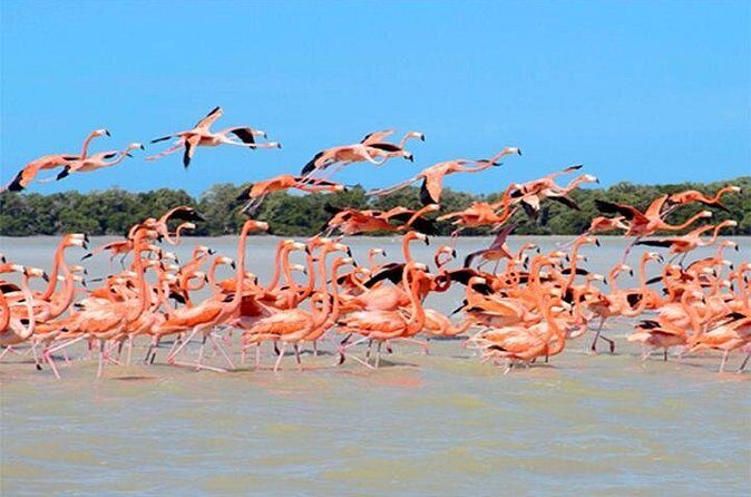 Private 3-Day Yucatan Sightseeing Tour from Playa del Carmen - FAQ