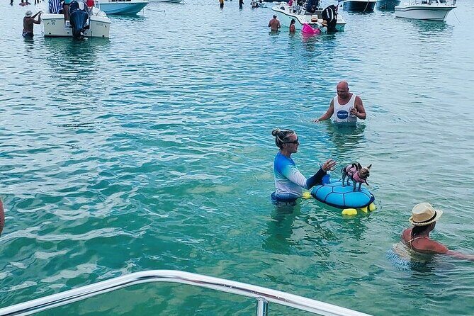 Private 3 hour Charter and Sandbar in Islamorada - Key Points