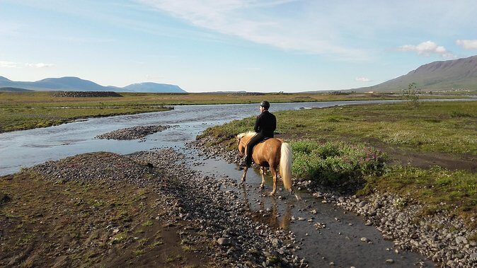 Private 3-Hour Horseback Riding Tour - Exploring Iceland on Horseback: A Detailed Look at the Private 3-Hour Riding Tour in Akureyri