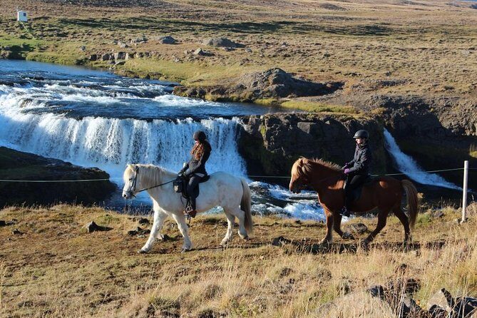 Private 3-Hour Horseback Riding Tour - Who Should Book This Tour?