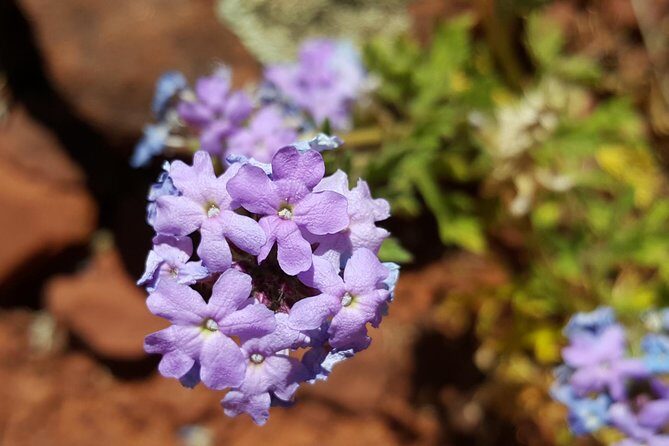 Private 3-Hour Sedona Metaphysical Photography Tour - An In-Depth Look at the Sedona Metaphysical Photography Tour