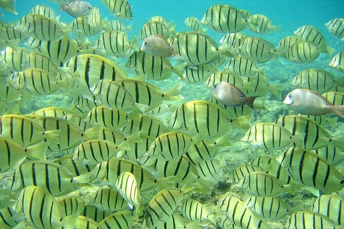 Private 3 Hour Snorkeling Tour with Arch Tour and Beach Time - An In-Depth Look at the Tour