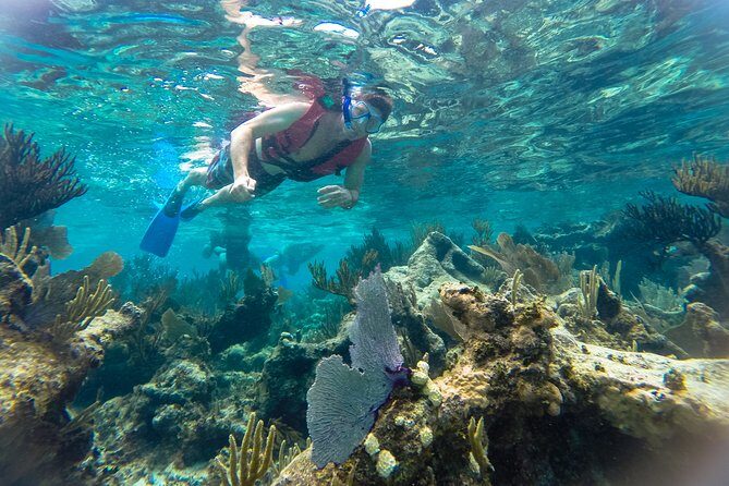 Private 3 in 1 Discovery Combo Tours Tulum Ruins, Snorkeling & Cenotes Adventure - Who is This Tour Best For?