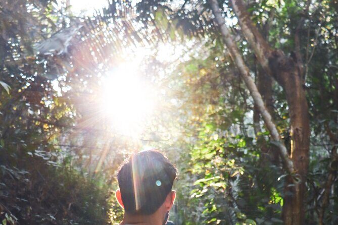 Private 4 hour Hiking Adventure + Breakfast in Nogalito Ecopark - Exploring the Private 4-Hour Hiking Adventure + Breakfast in Nogalito Ecopark