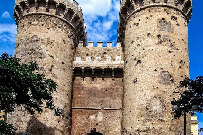 Private 4-hour Walking Tour of Valencia with official tour guide - The Benefits of a Private, Customizable Tour